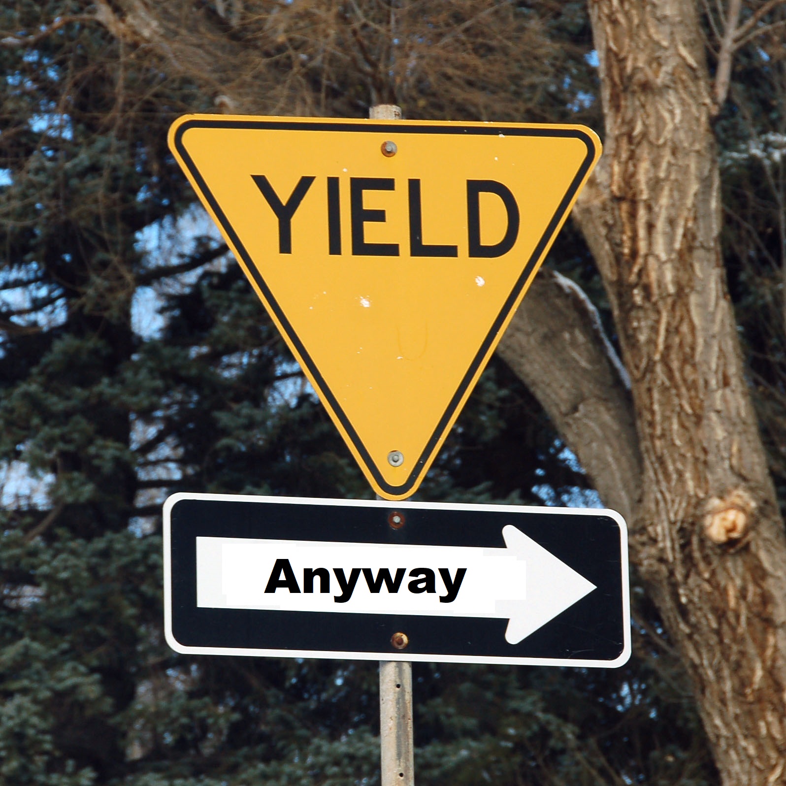 Defensive Driving Rule Number 3: Yield Anyway!